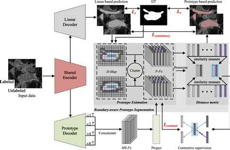 Figure 2 From Boundary Aware Prototype In Semi Supervised Medical Image Segmentation Semantic