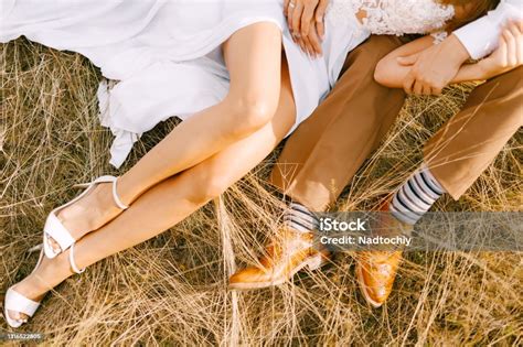 아름다운 신부와 신랑의 반 초상화는 마른 풀밭에 거짓말을 포용 멋진 흰색 드레스와 세련된 갈색 정장에 신랑신부 결혼식에 대한