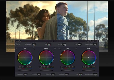 How To Copy Color Grade In Davinci Resolve [step By Step] Hollyland