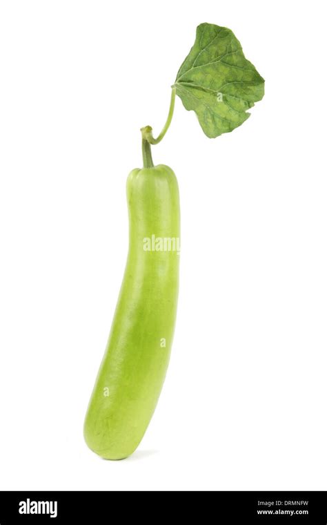 Bottle Gourd Hi Res Stock Photography And Images Alamy