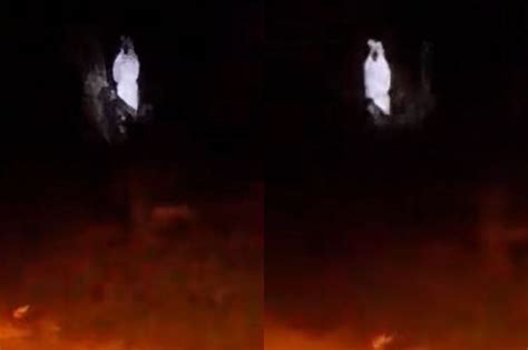 Memang Limited Edition” Budak Budak Kampung Terhibur Jumpa Pocong