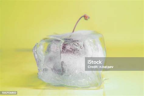 고르지 않은 얼음 조각에 얼어붙은 체리 과일의 클로즈업 밝은 배경에 신선한 차가운 과일 건강한 식생활에 대한 스톡 사진 및 기타 이미지 건강한 식생활 겨울 과일