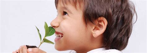 Creative Garden Early Learning Centre Heathcote Graduate Programs