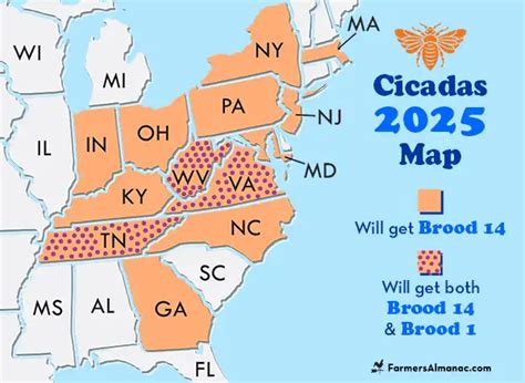 Attack Of The Cicadas 2025 Map Faq And Tips Farmers Almanac Plan Your Day Grow Your Life