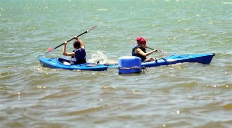 Survivor Değil Vanvivor Haberler