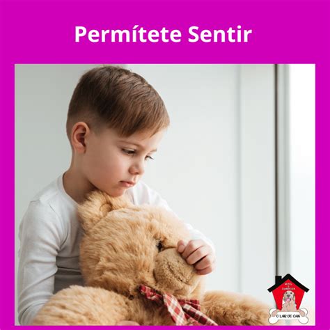 Consejos Para Superar La Pérdida De Tu Mascota O Lar Do Can