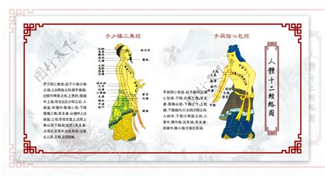 人体十二经络图片素材 编号15140540 图行天下