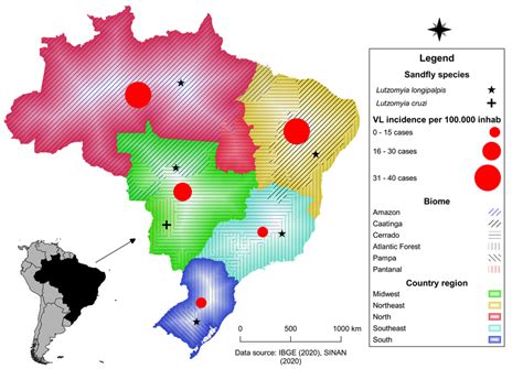 Map Of Visceral Leishmaniasis Incidence Per 100 000 Inhabitant And Download Scientific Diagram