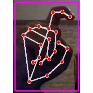 RavenOnur Sign Language Hugging Face