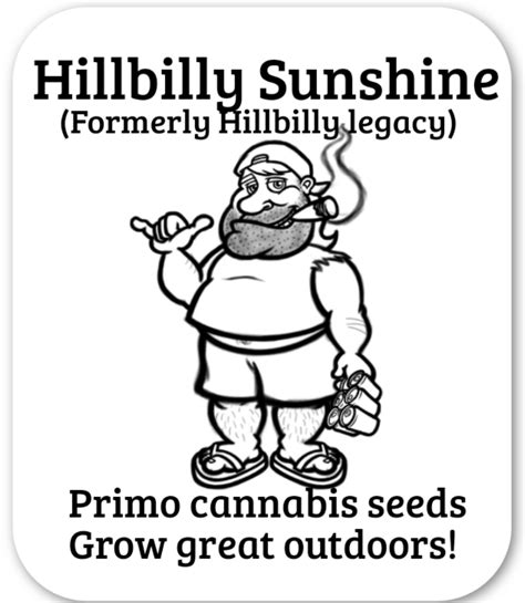 Candy Factory Hillbilly Sunshine Cannabis Strain Info Seedfinder Eu