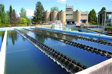 Potabilización Del Agua Procesos Importancia Y Tratamiento