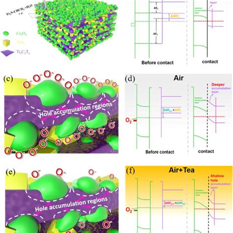 A Cartoon Illustration Of The Cr 2 O 3 Tio 2 Ti 3 C 2 T X Sensing Download Scientific