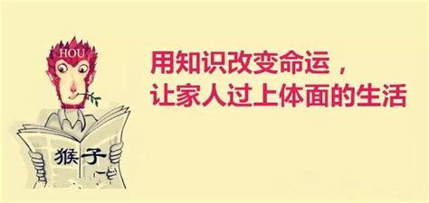 图解sql面试题：如何查找重复数据？ 知乎