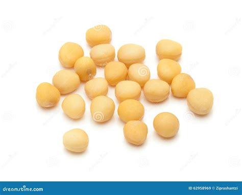Macro Closeup Of Organic Yellow Mustard Seeds Stock Image Image Of