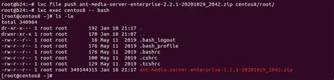 Copy A File From Host Into LXD Container ServerOK