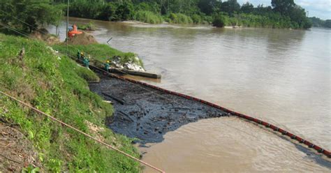 Mesh Boom Sargassum Protection Caribbean Beaches Desmi Make Life