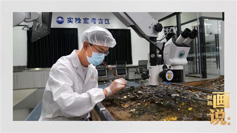 时政画说丨一眼千年 荆楚网 湖北日报网