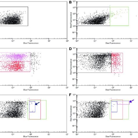 Two Dimensional Dot Plots Of Flow Cytometry Data Showing The Intensity Download Scientific