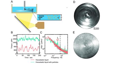 Elastic Instability In A Viscoelastic Fluid With And Without Suspended