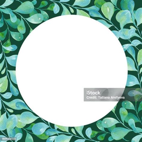 수채화 둥근 프레임 녹색과 파란색 잎이 있는 흰색 원 그라데이션 그림 스케치 녹색과 파란색 색상 짙은 녹색 배경에 고립된 허브