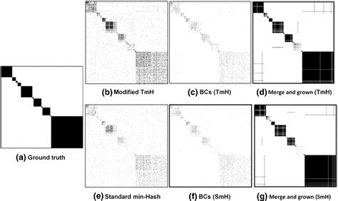 Qualitative Comparisons Of Affinity Graphs In Each Step On The Ground