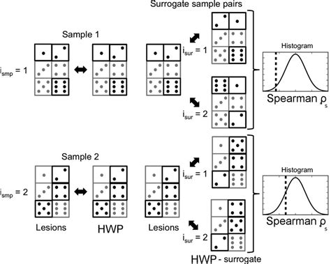 Figure B Illustration Of The Surrogate Sample Data Analysis Adapted
