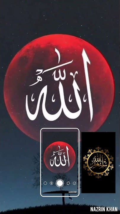 হে আল্লাহ অনেক গুনাহ করেছি ক্ষমা করে দেন Islamicvideo Short