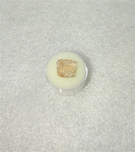 Hypselosaurus Dinosaur Egg Shell 7  For Sale