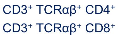 T Cell Generation And Maturation Flashcards Quizlet