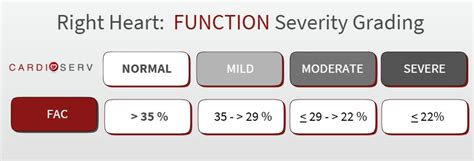 Fac In Echocardiography 2025 Ase Guidelines For Rv Function