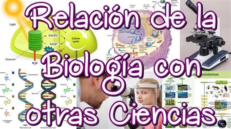 Descubre Todo Sobre La Quimiotaxis Concepto Mecanismos Y Aplicaciones