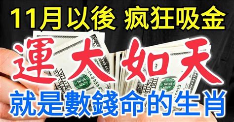 11月以後，這6個生肖瘋狂吸金，運大如天，就是數錢的命！ Peekme