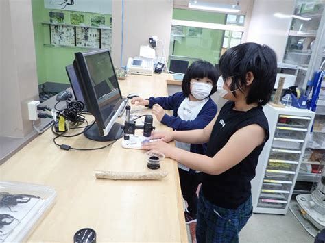 モリアオガエルがやってきましたカジカガエルも鳴き始めてます 佐用町昆虫館オフィシャルブログ