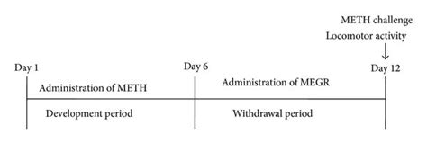 Time Schedules For Meth Induced Locomotor Sensitization And Cpp A