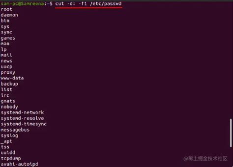 如何列出Ubuntu的所有用户Linux管理员可以轻松地与系统互动并使用Linux系统中的有用命令管理所有用户 Ub 掘金