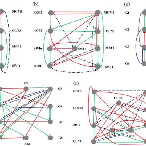 Inference Result Of Nnbni With Five Biological Network Datasets The Download Scientific