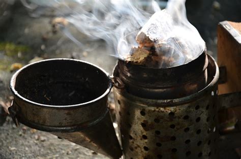 벌집 지붕에 가죽 벨로우즈가 달린 숲의 어둠 속에서 썩어가는 나무에서 향기로운 연기를 뿜어내는 양봉가 흡연자 0명에 대한 스톡 사진 및 기타 이미지 Istock