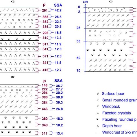 Density Profiles Of Group C Pits At Dome C Download Scientific Diagram