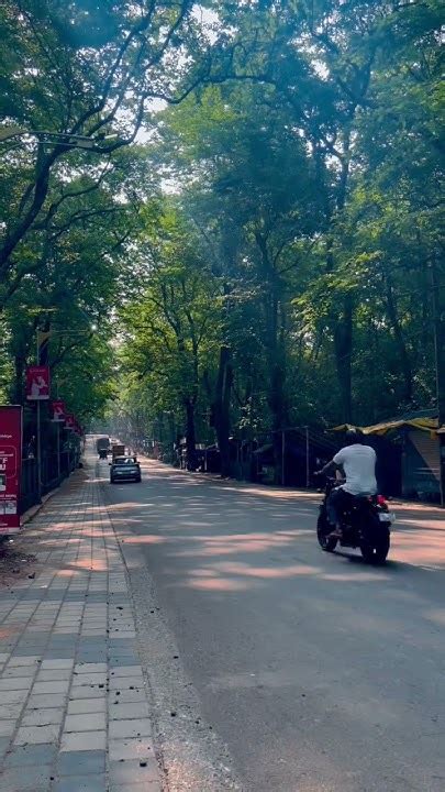 Nilambur Canolly Plot Youtube