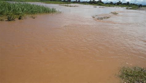 Floods Displace 328 Households Damage Rice In Karonga Malawi 24