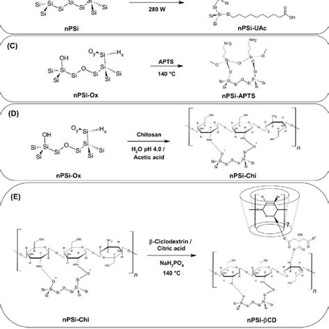 Nanostructured Porous Silicon Npsi Synthesis And Functionalization