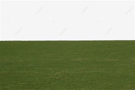 Green Field Agriculture Fertile Grass Field Agriculture Outdoors Png