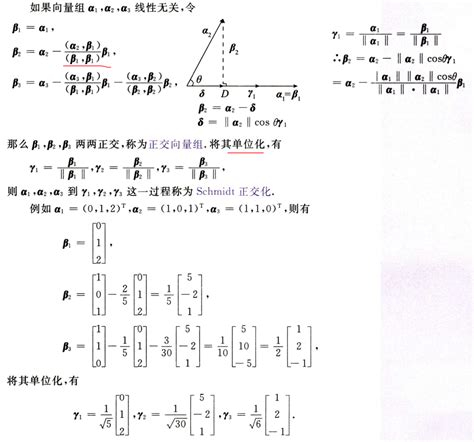 【线性代数】第六章：特征值与特征向量特征值与特征向量csdn Csdn博客