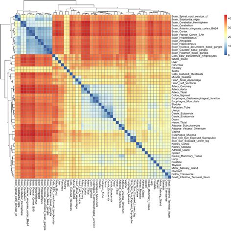 Visualising The Data The Chg Training Resources