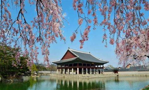 누각에서 즐기는 경복궁의 아름다움…내달부터 경회루 특별 관람 나무뉴스