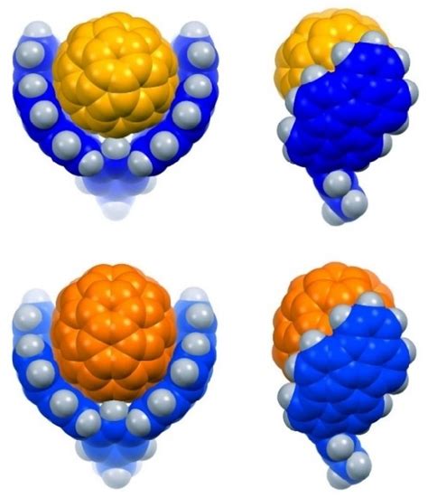 Calculated Structures Of The Inclusion Complexes Between The Catcher