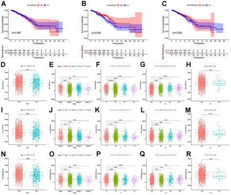 CCL19 Has Potential To Be A Potential Prognostic Biomarker And A