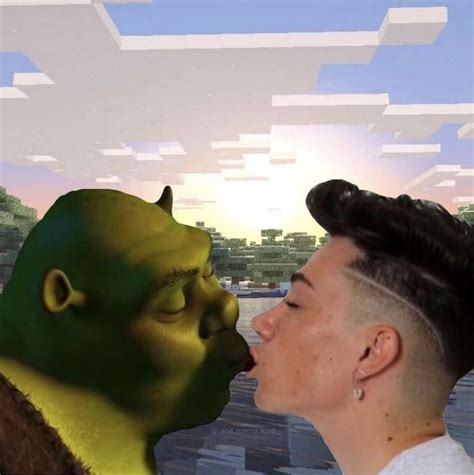 Shrek And James Charles Kissing In 2023 Really Funny Pictures Crazy