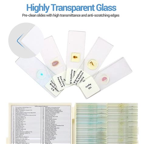 120 60 Microscope Slides With Specimens Prepared Microscope Slides For Microbiology Prepared