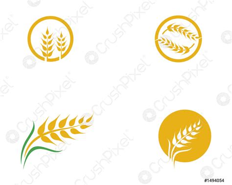 Agricultura Trigo Vector Vector De Stock 1494054 Crushpixel